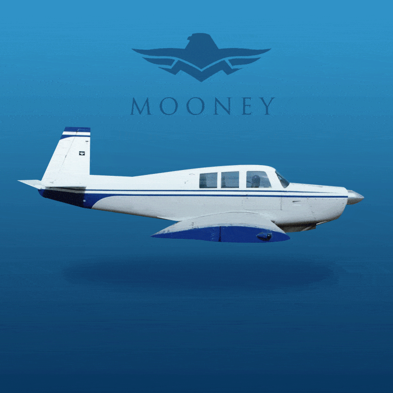 Mooney – Ultralight Chile